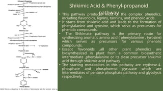 phenol in plant disease mangement[1] - Read-Only.pptx