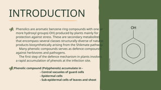 phenol in plant disease mangement[1] - Read-Only.pptx