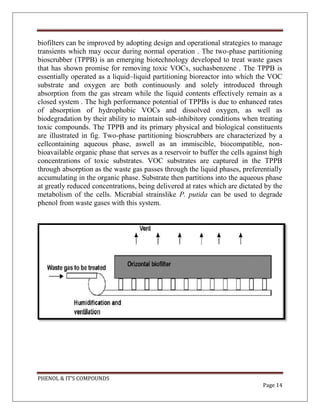 Phenol & it's Compounds | PDF