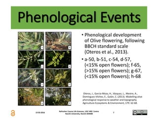 Phenology - The Study of Nature | PPTX