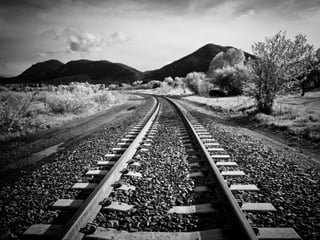 Phenology Clock Workshop Presentation | PDF