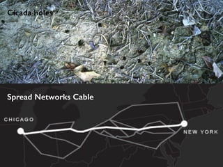 Phenology Clock Workshop Presentation | PDF