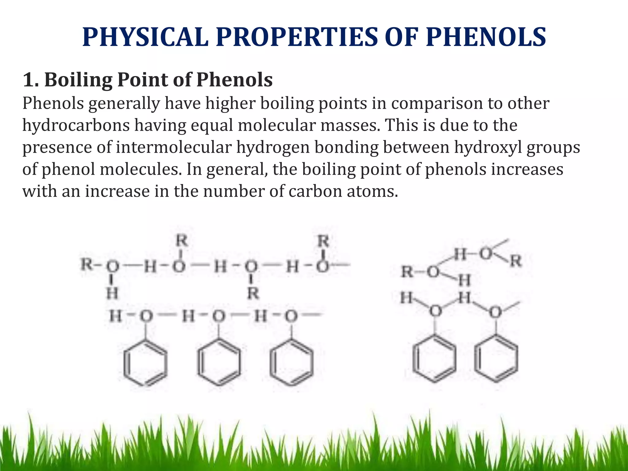 Phenols | PPTX