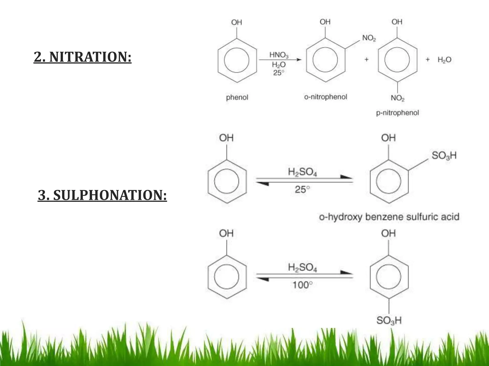 Phenols | PPTX