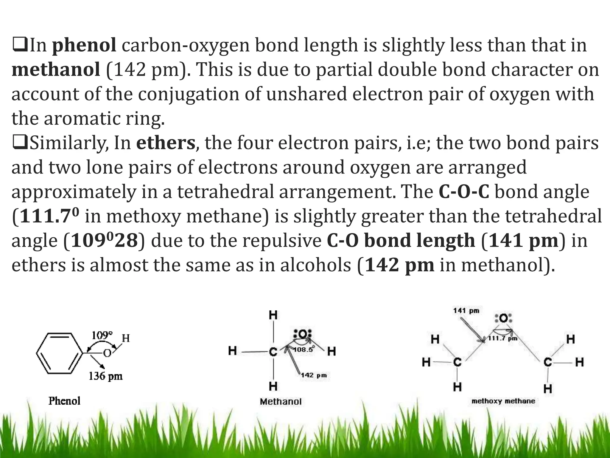 Phenols | PPTX