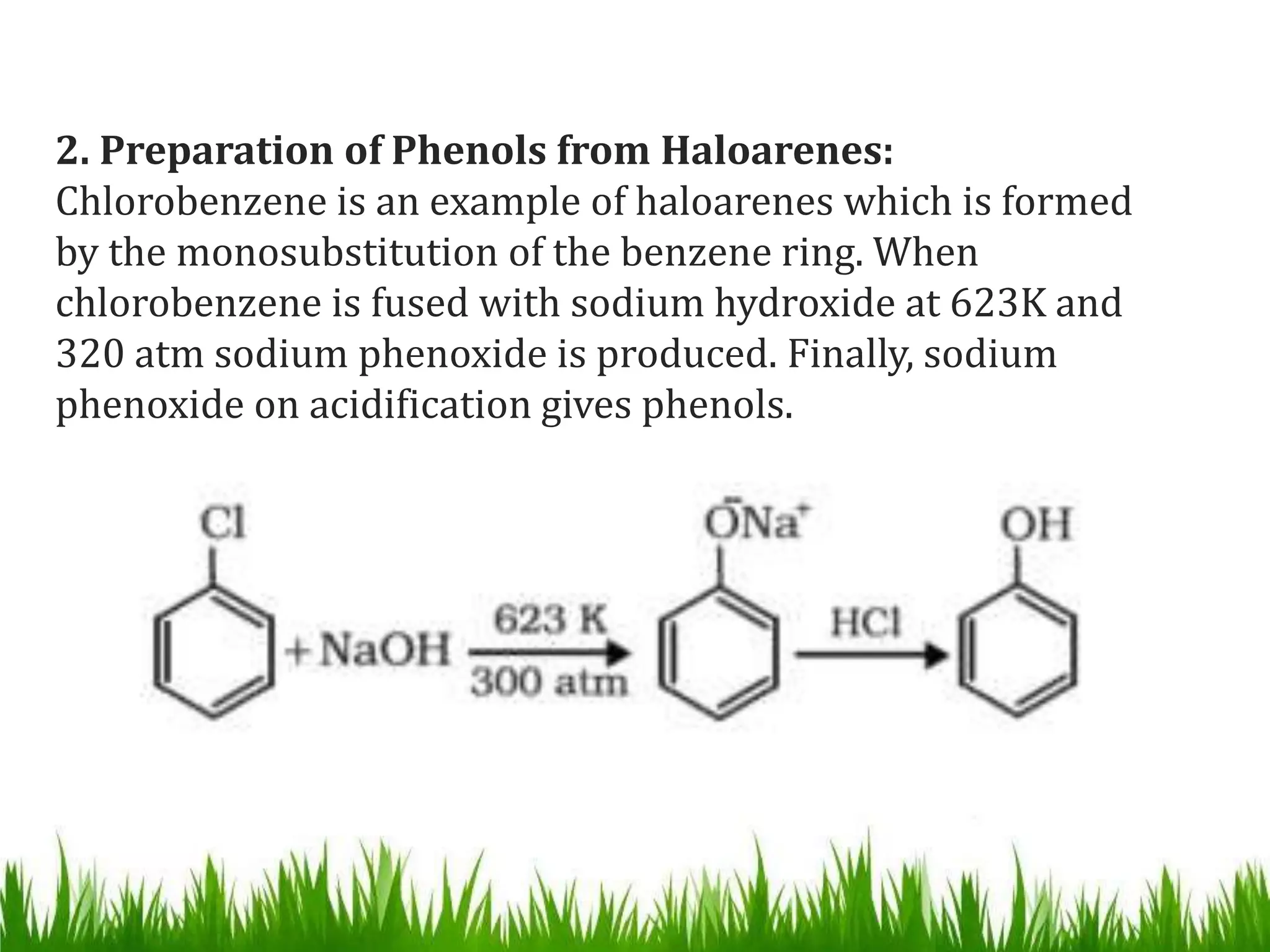 Phenols | PPTX