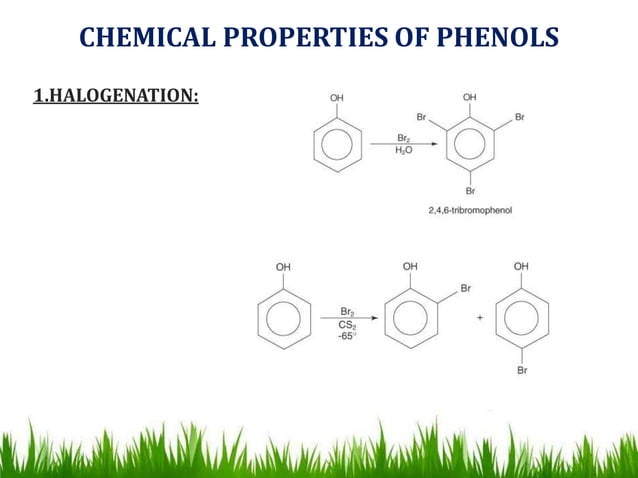 Phenols | PPTX | Chemistry | Science