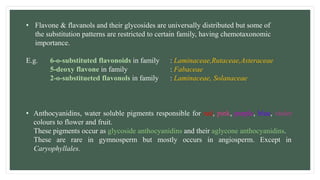 Phenols in chemotaxonomy | PPSX