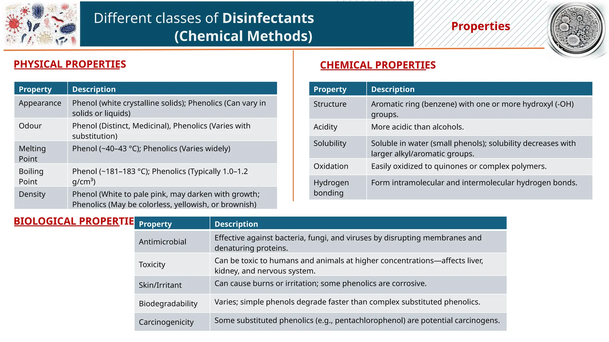 Phenols Phenolics power point presentation of micro biology | PPT