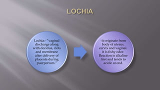 Phenomena of normal prepurium and care of postpartum | PPTX
