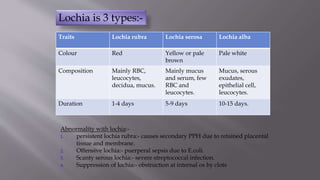 Phenomena of normal prepurium and care of postpartum | PPTX | Pregnancy ...