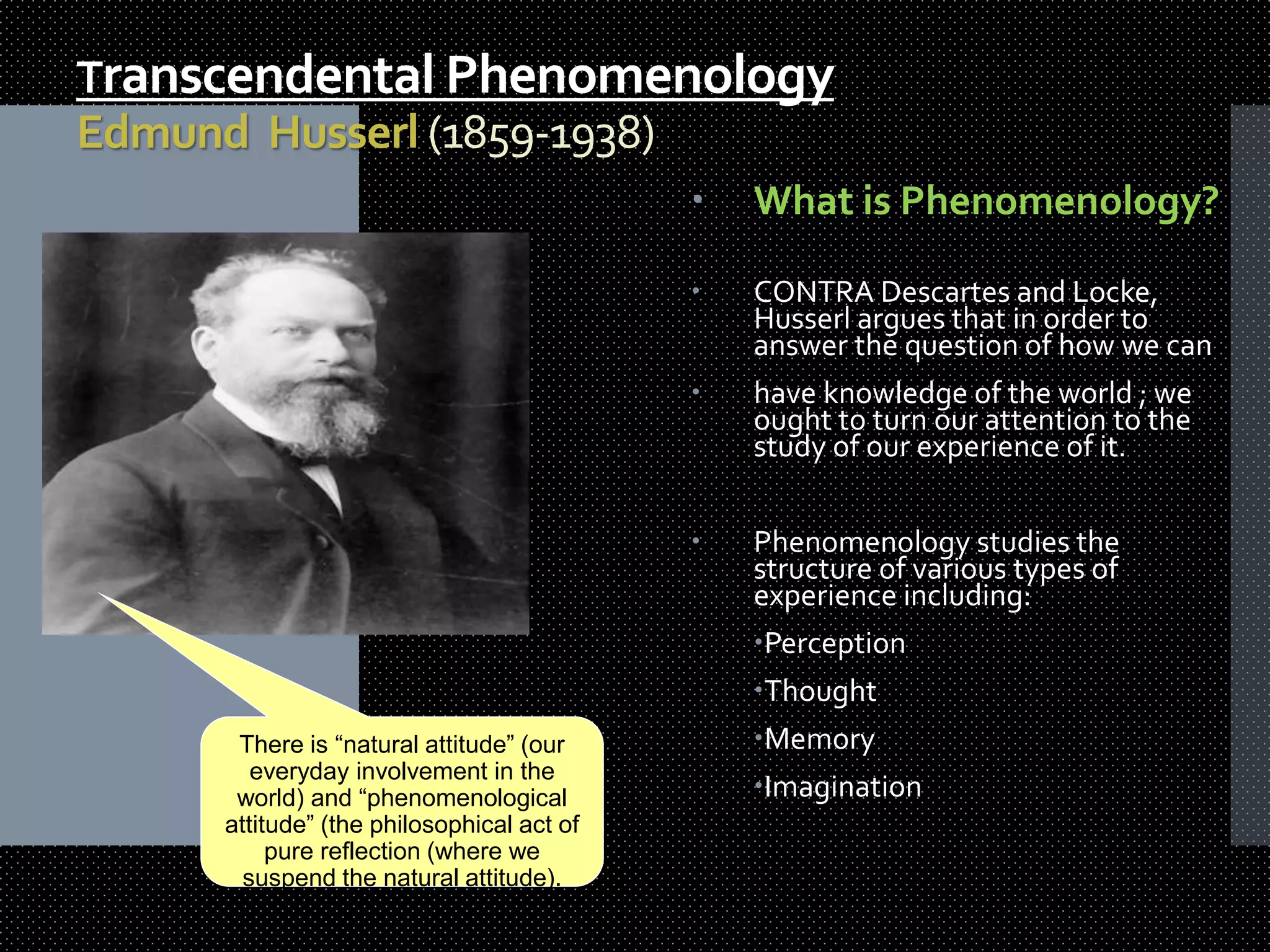 Phenomenology (Philosophy) | PPTX