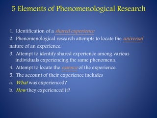 Phenomenological