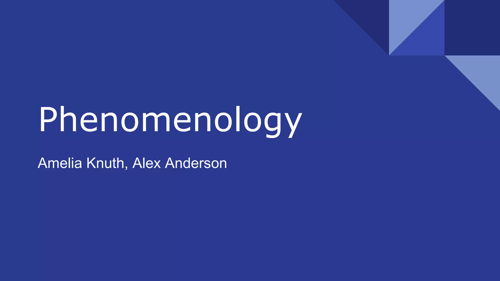 Phenomenology | PPT