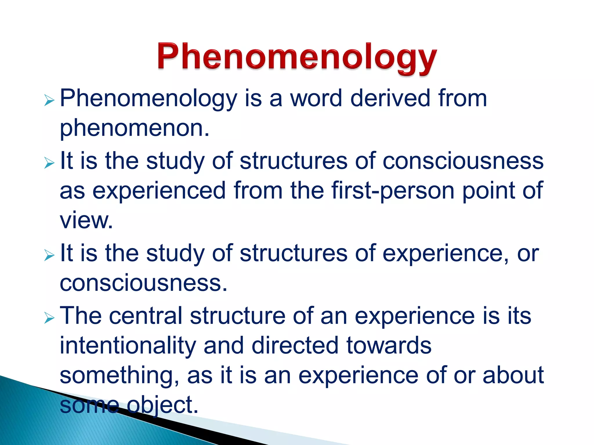 Phenomenology | PDF