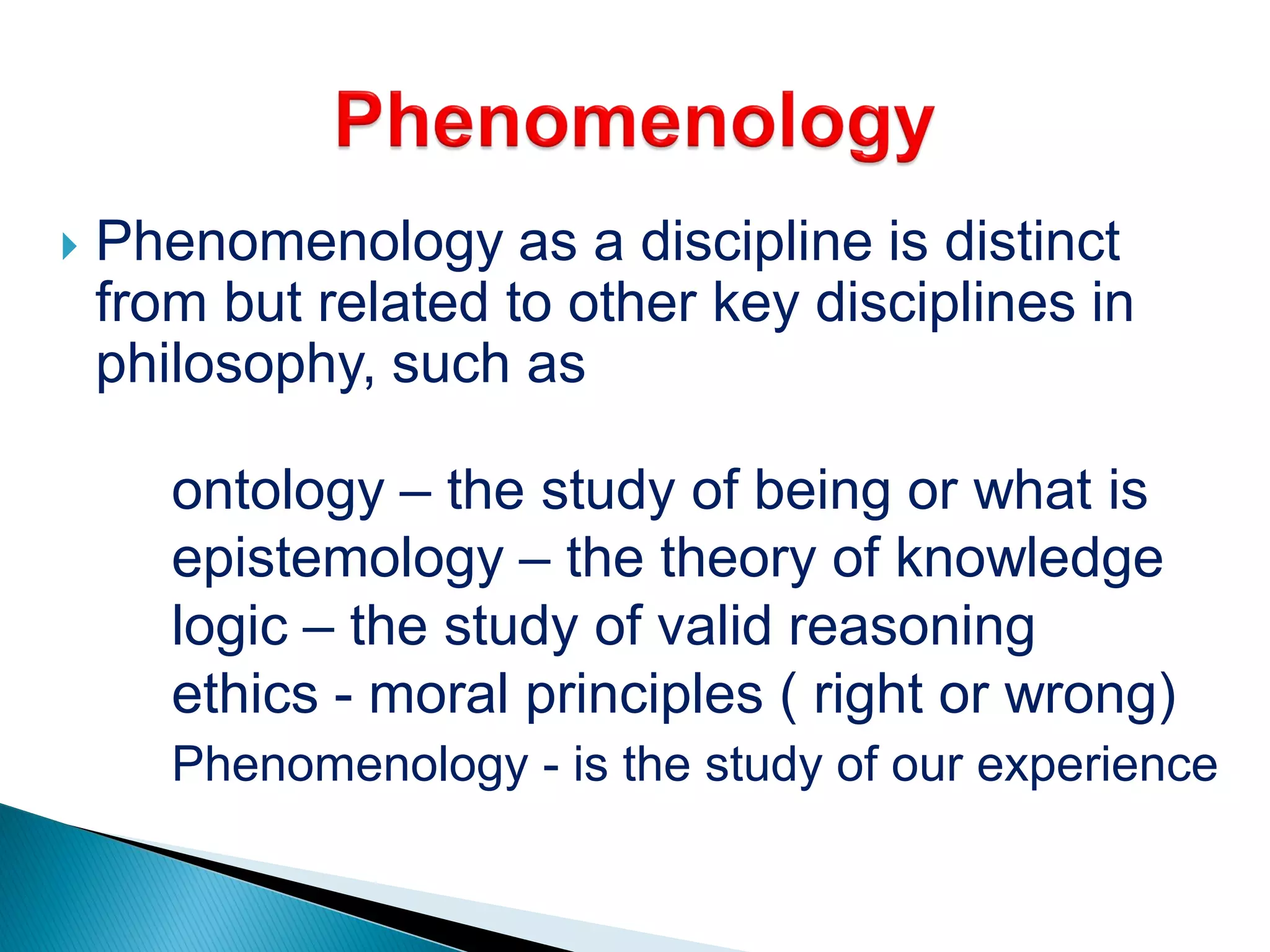 Phenomenology | PDF