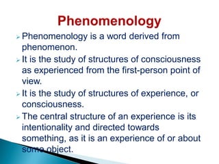 Phenomenology | PDF
