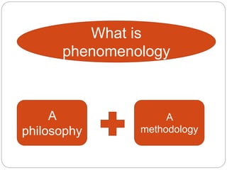 Phenomenology