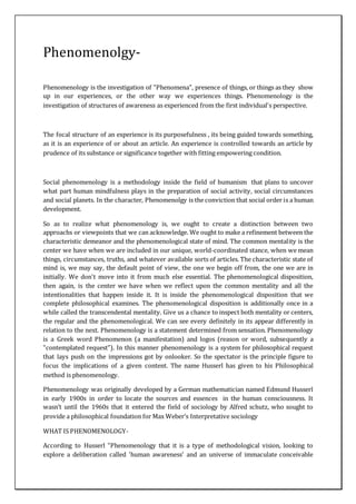 ASSIGNMENT ON PHENOMENOLOGY | DOCX