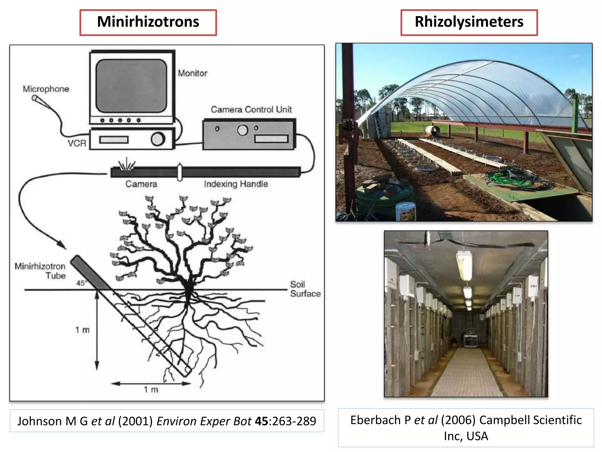Plant Phenomics | PPTX