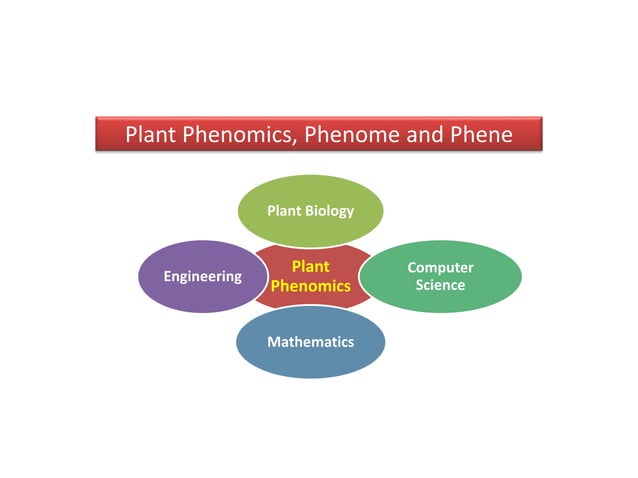 Plant Phenomics | PPTX | Agriculture | Industries