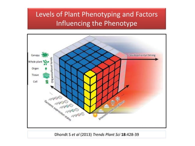 Plant Phenomics | PPTX | Agriculture | Industries