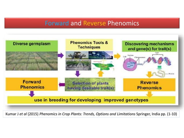 Plant Phenomics | PPTX | Agriculture | Industries