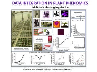 Plant Phenotype