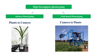 High throughput field phenotyping for plant breeding | PPTX
