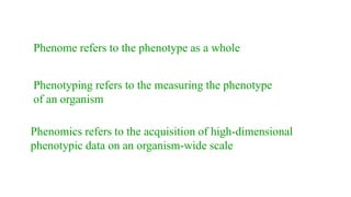 High throughput field phenotyping for plant breeding | PPTX