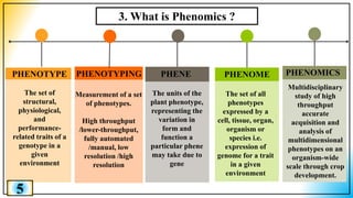 PHENOTYPINF TOOL: PHENOMICS IN PRESENT ERA PPT.pptx