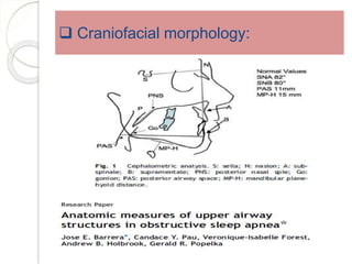 Phenotypes of OSA | PPTX