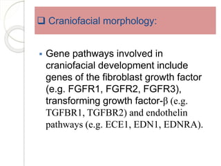 Phenotypes of OSA | PPTX