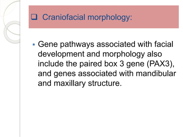 Phenotypes of OSA | PPTX | Ear, Nose and Throat Conditions | Diseases ...