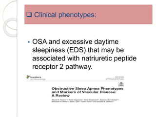 Phenotypes of OSA | PPTX