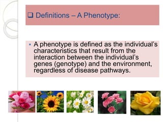 Phenotypes of OSA | PPTX