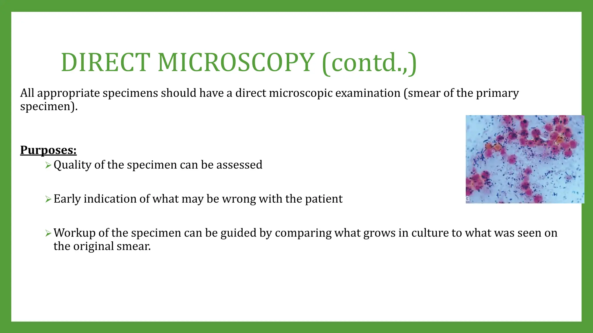Phenotypic Methods Of Bacterial Identification Conventional