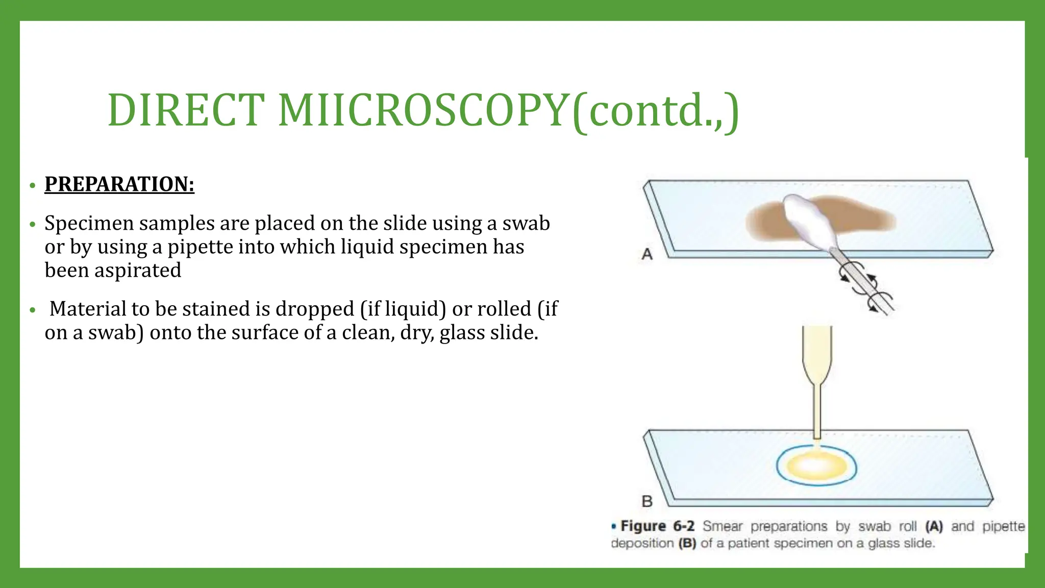 Phenotypic Methods Of Bacterial Identification Conventional