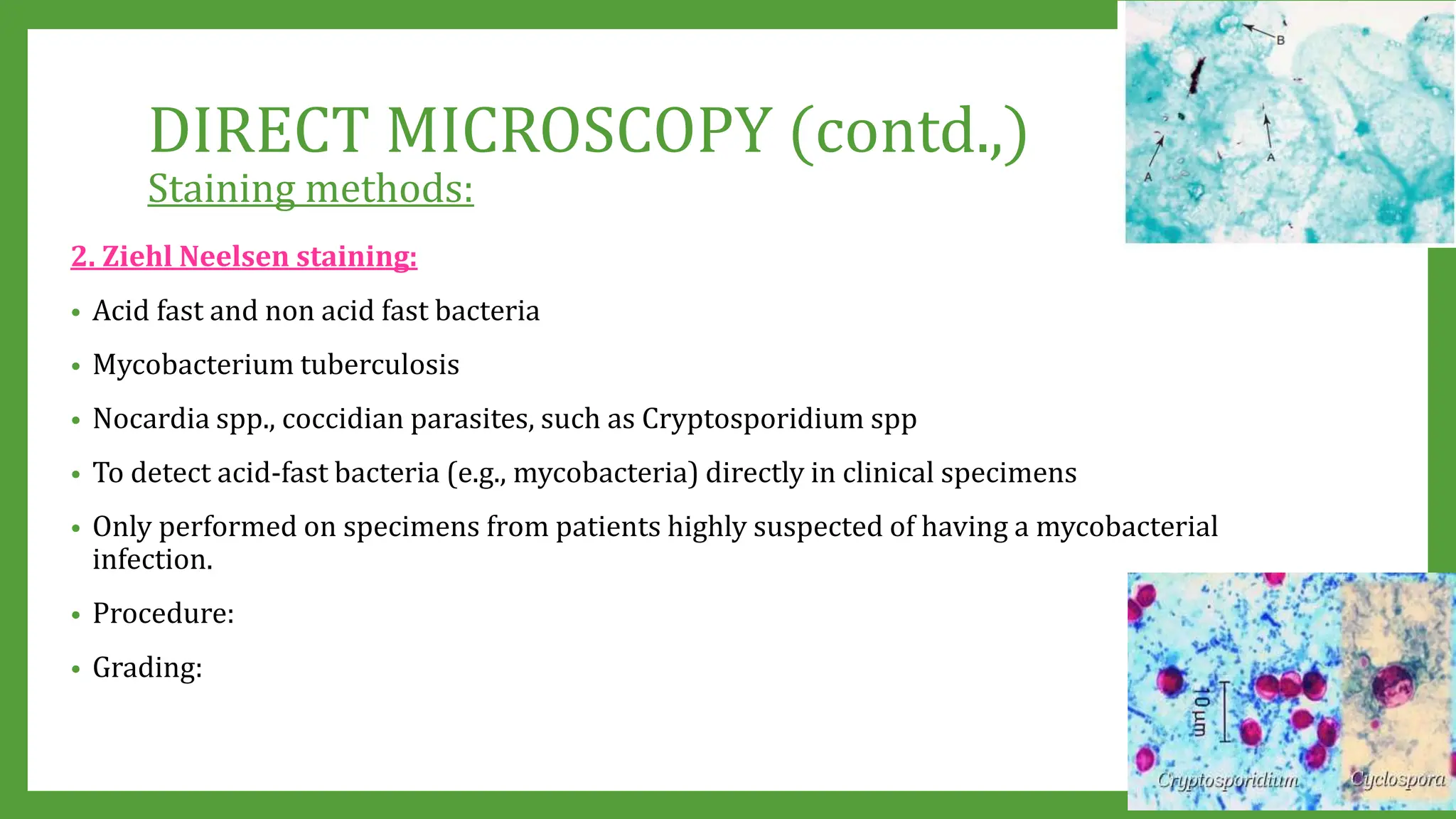 PHENOTYPIC METHODS OF Bacterial identification- conventional ...