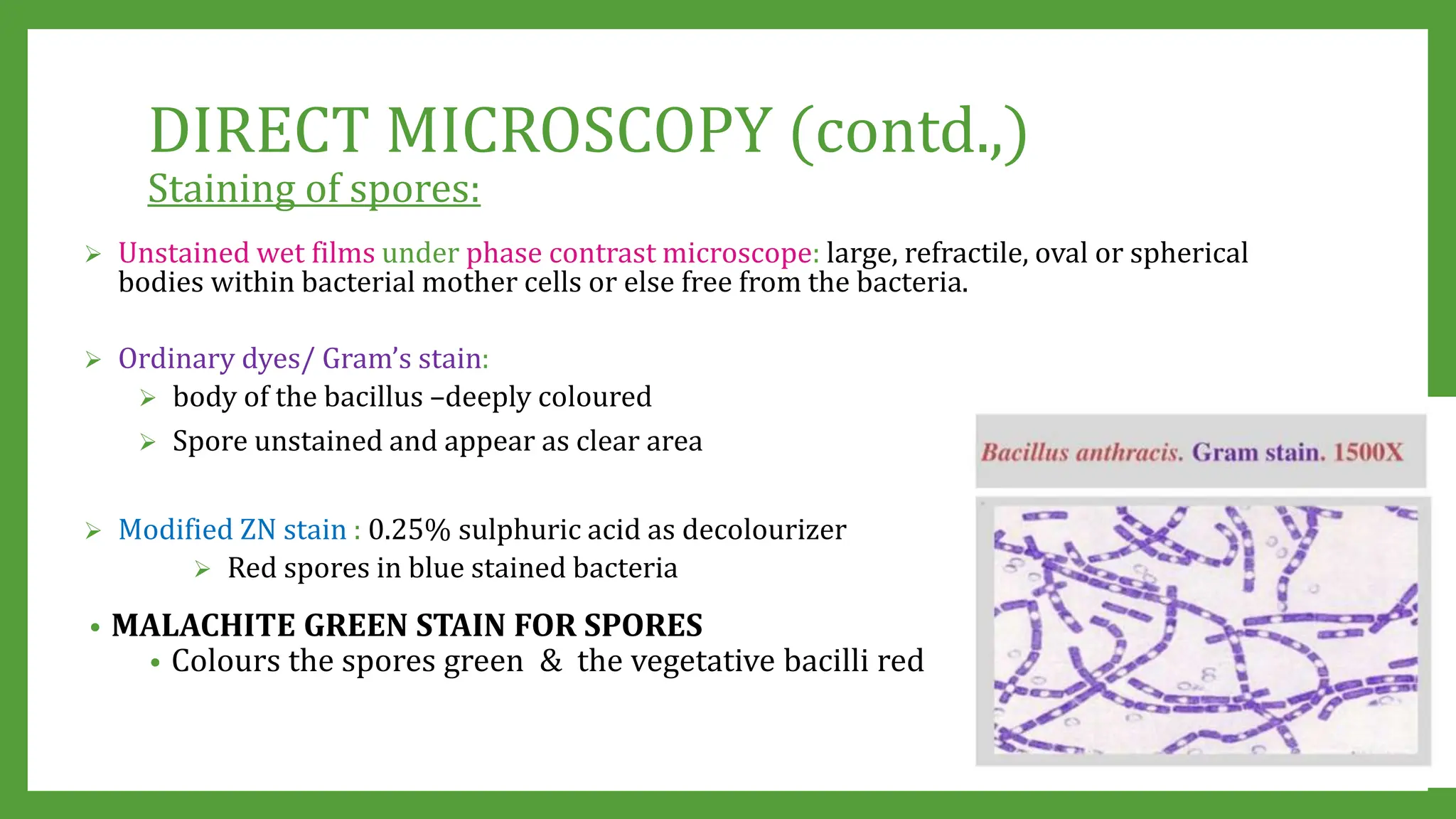 Phenotypic Methods Of Bacterial Identification Conventional And Automated Pptx Infectious