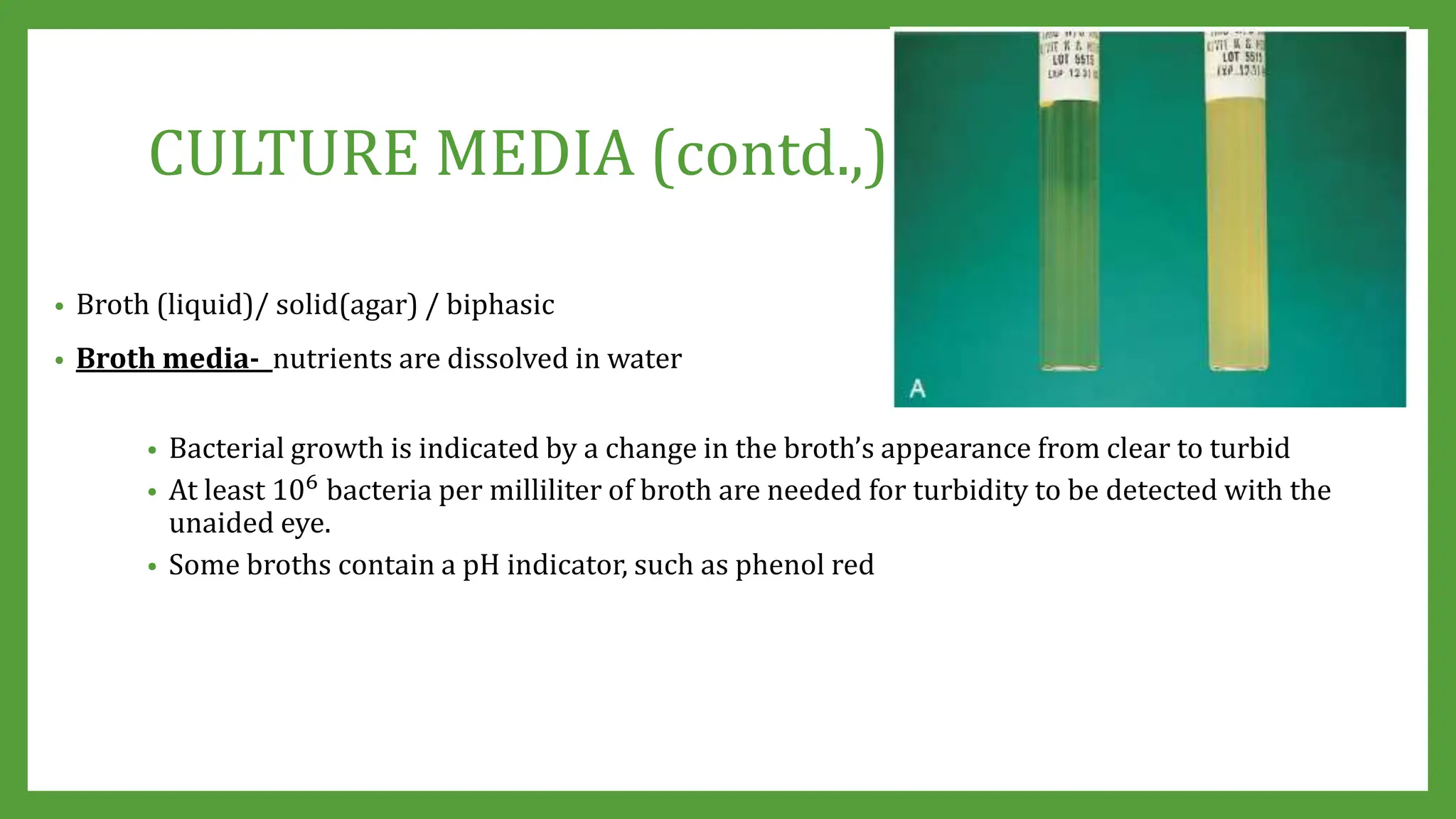 Phenotypic Methods Of Bacterial Identification Conventional