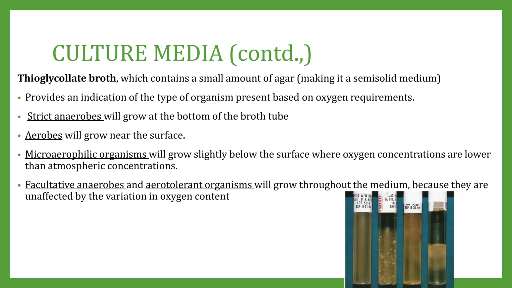 Phenotypic Methods Of Bacterial Identification Conventional