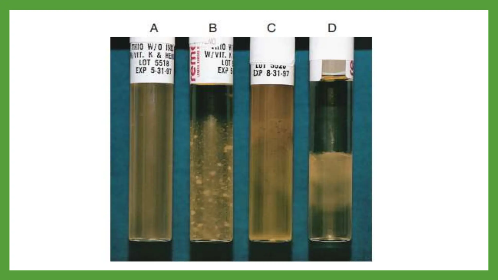 Phenotypic Methods Of Bacterial Identification Conventional