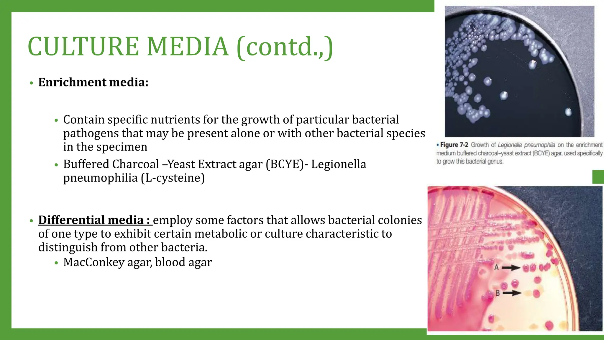 Phenotypic Methods Of Bacterial Identification Conventional