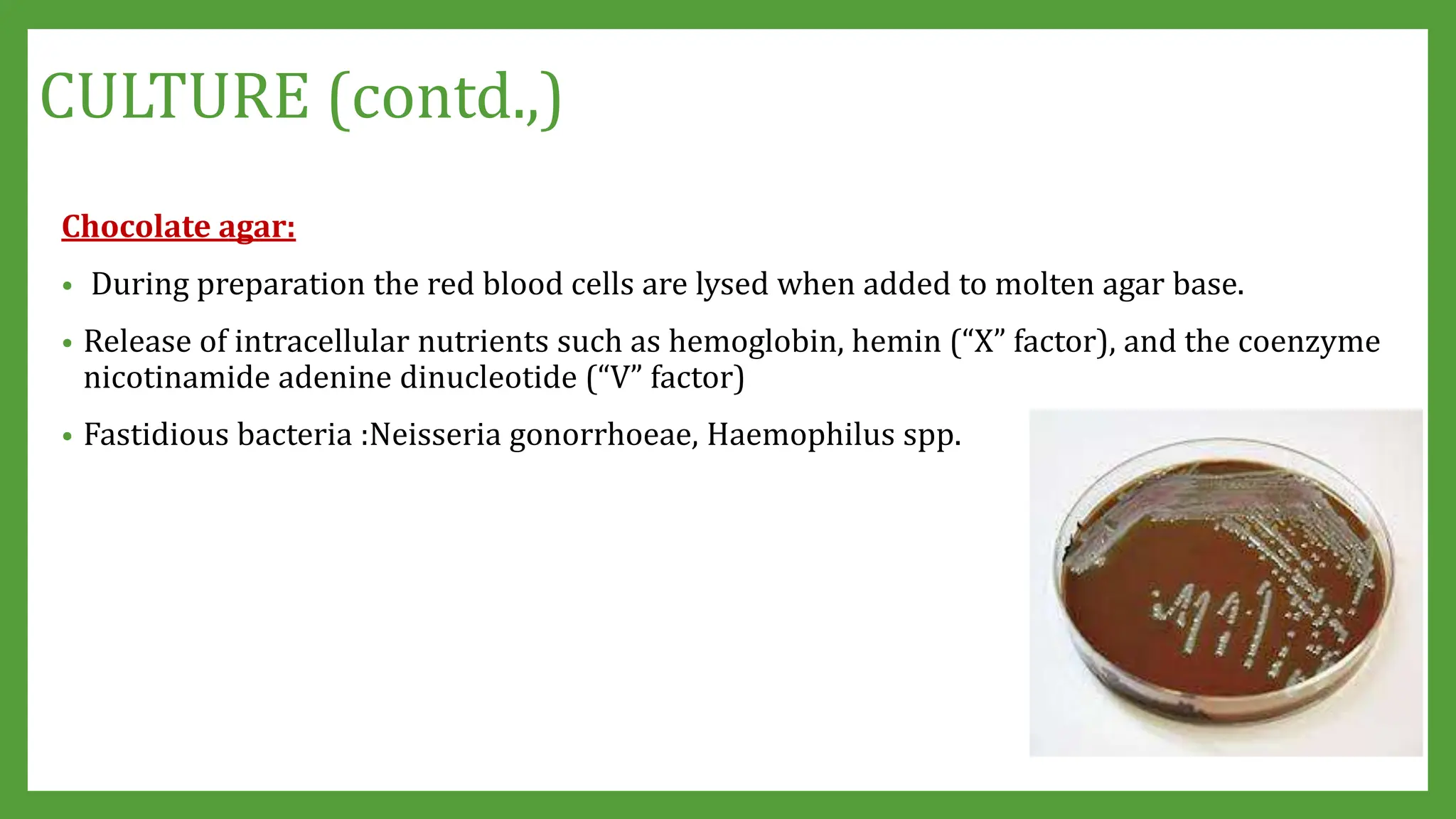 PHENOTYPIC METHODS OF Bacterial identification- conventional ...