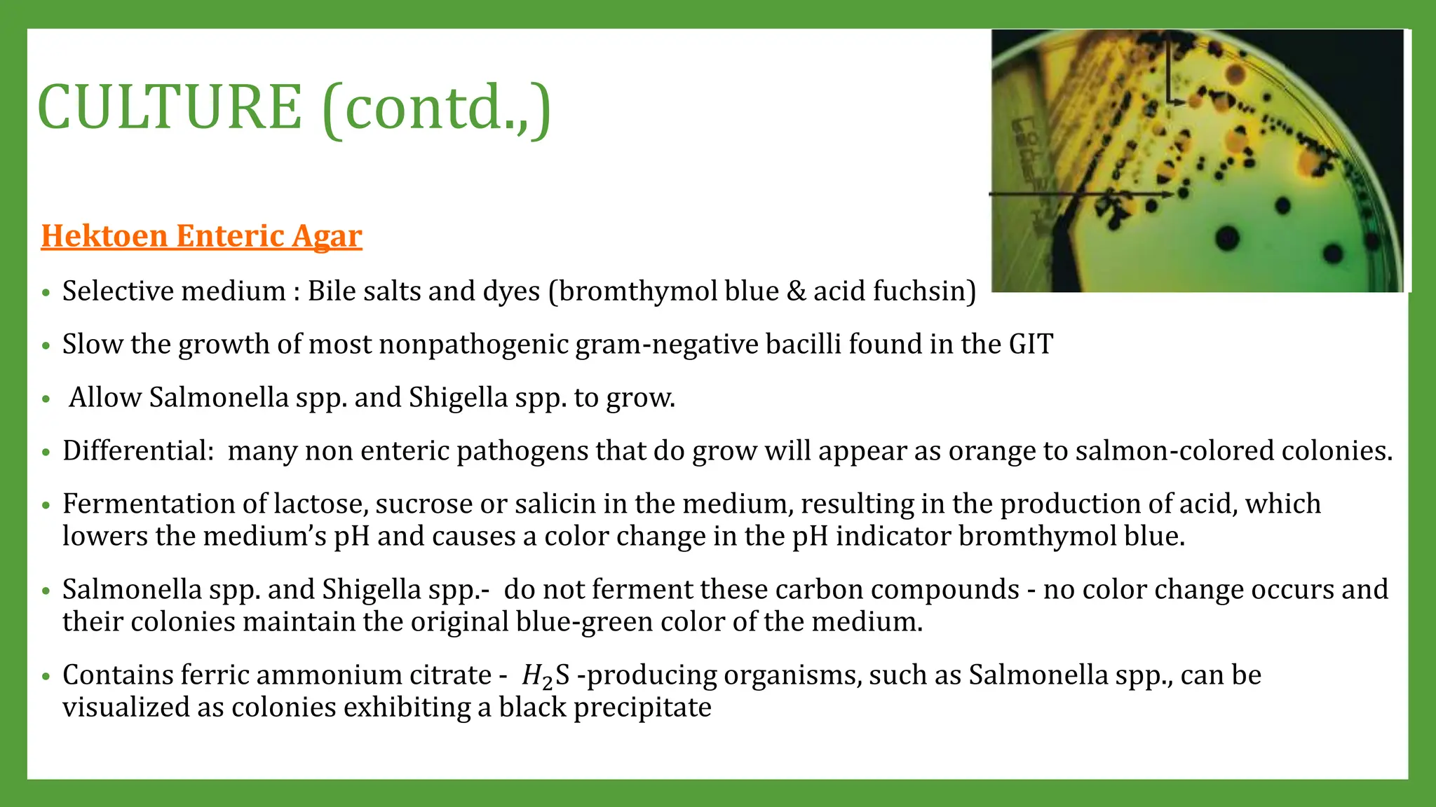 PHENOTYPIC METHODS OF Bacterial identification- conventional ...