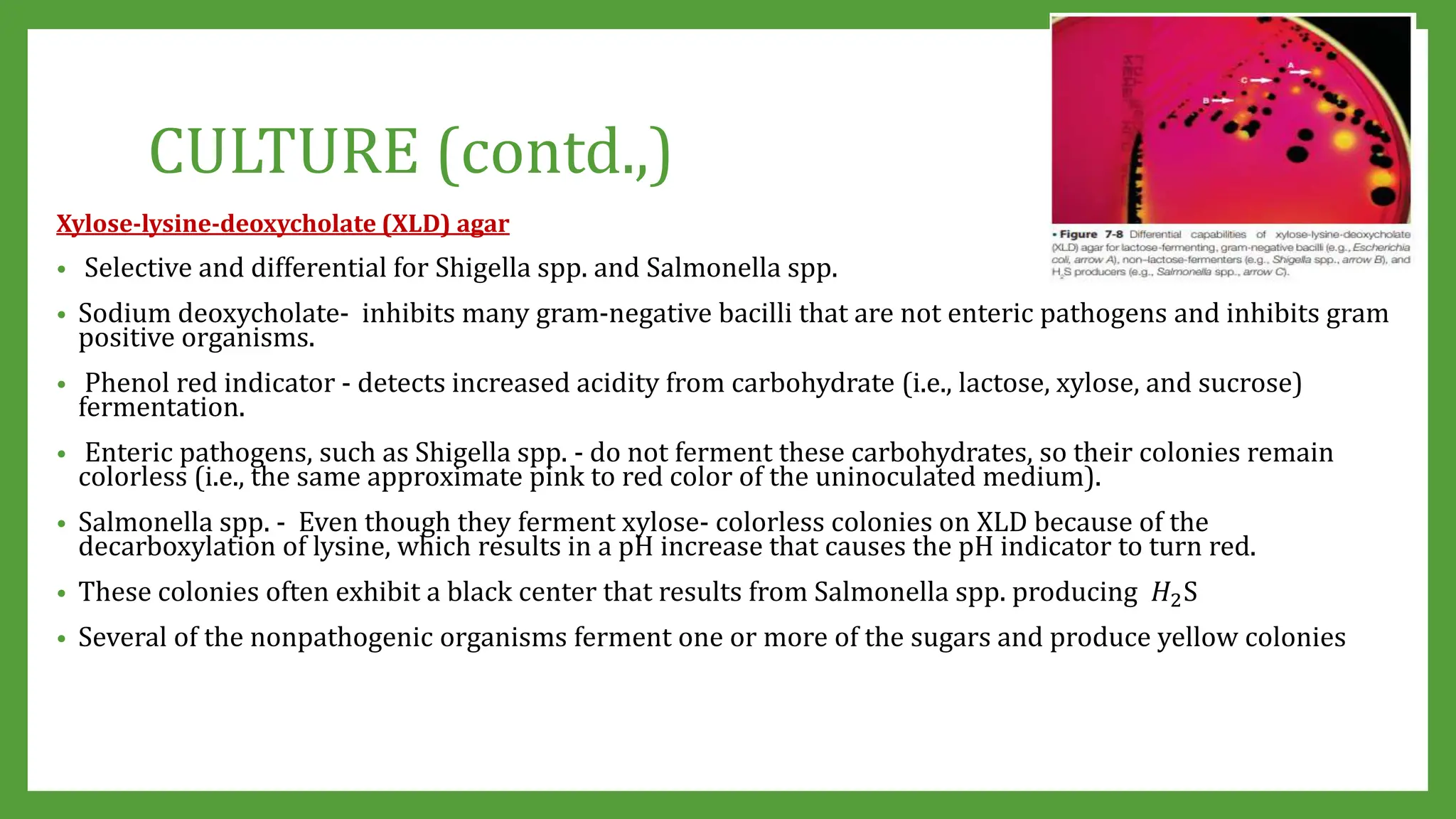 PHENOTYPIC METHODS OF Bacterial identification- conventional ...
