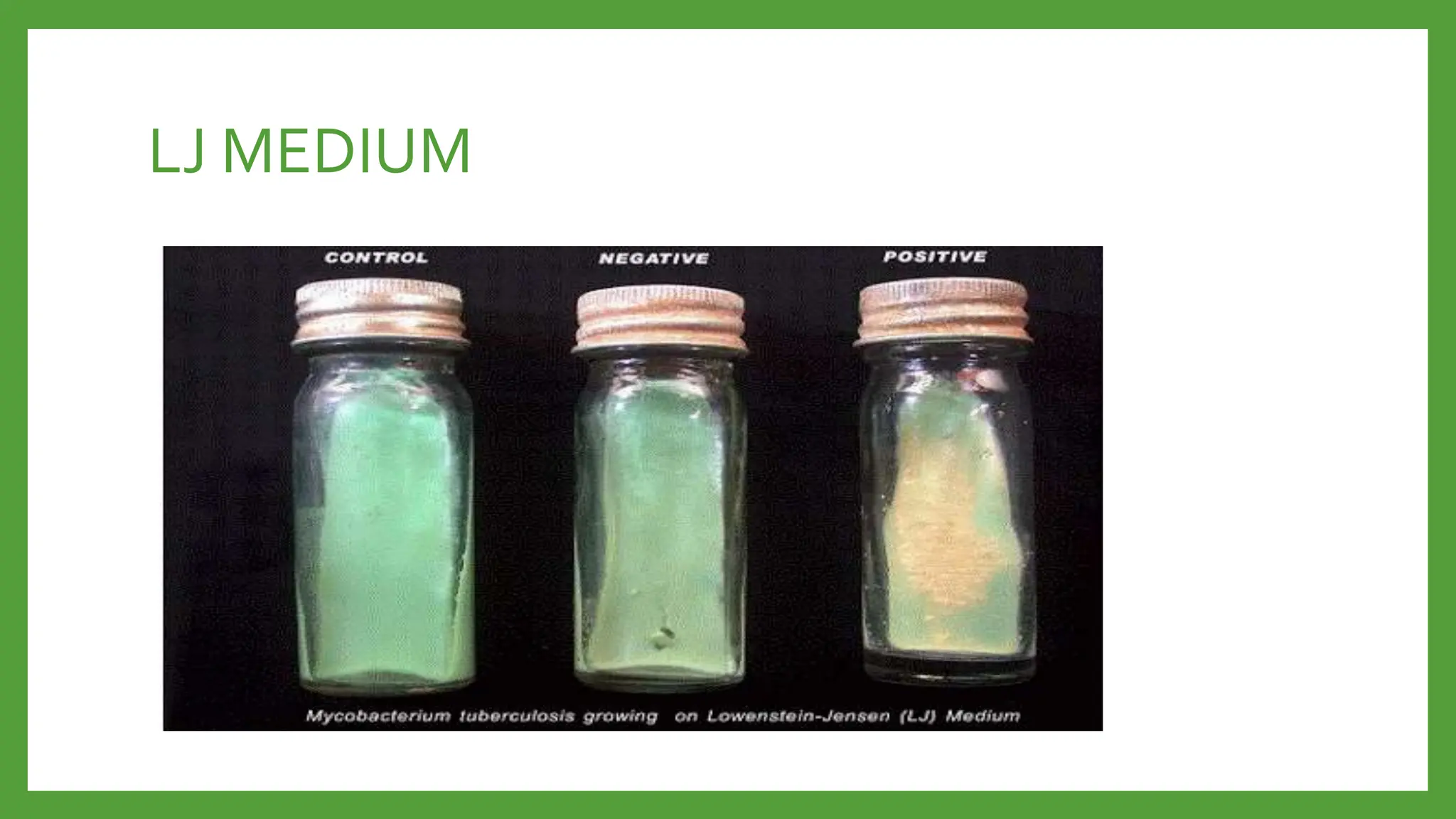 PHENOTYPIC METHODS OF Bacterial identification- conventional ...