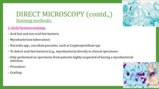 PHENOTYPIC METHODS OF Bacterial identification- conventional ...