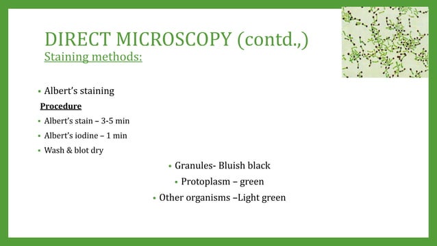 Phenotypic Methods Of Bacterial Identification Conventional And Automatedpptx Infectious